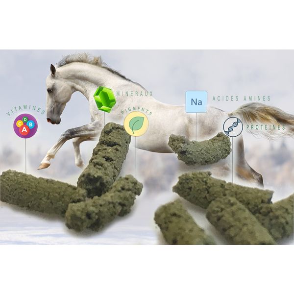 CMV Cheval - Complément Minéral Vitaminé Cheval